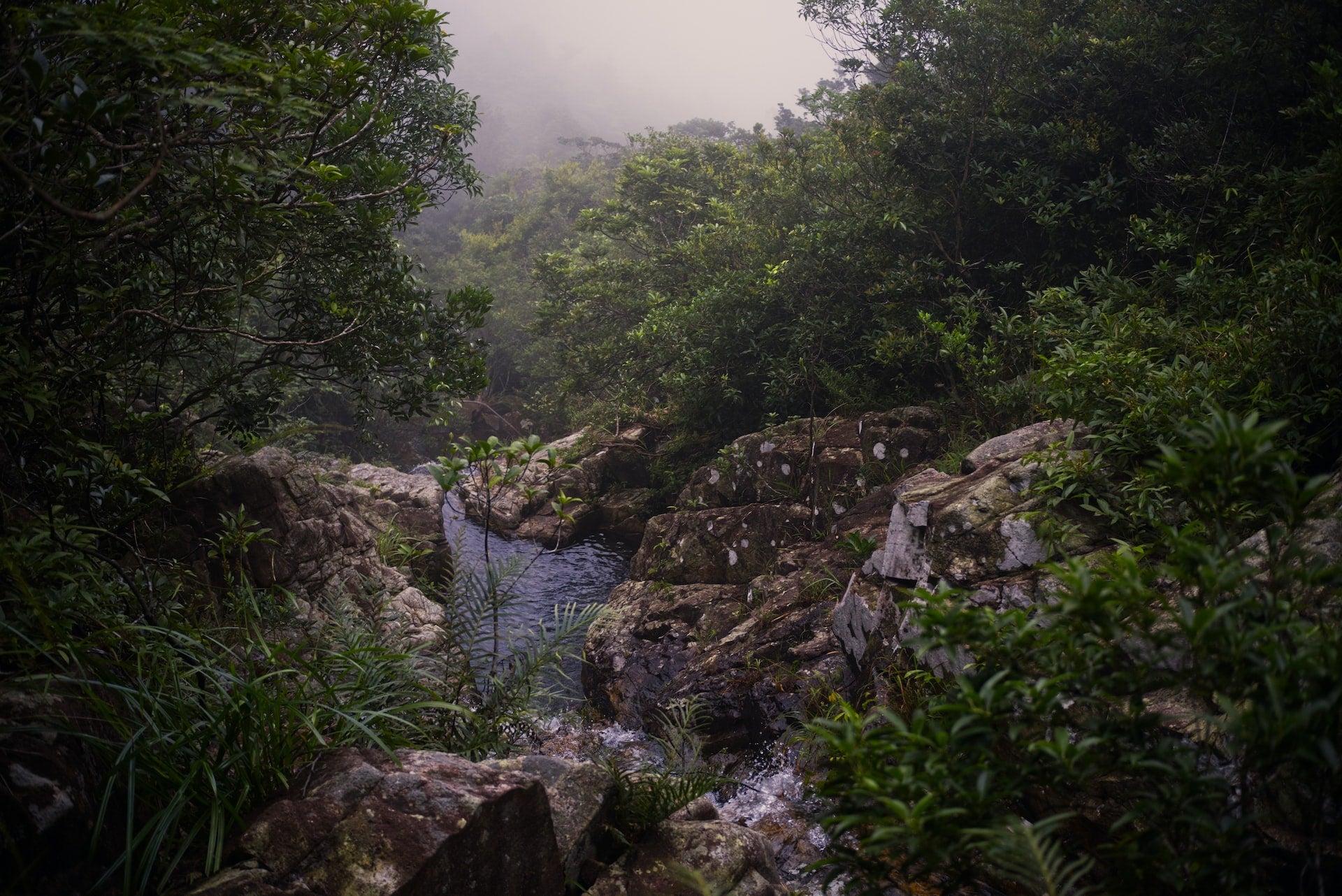 Hong Kong’s Best Waterfall Hikes – Lan Kwai Fong